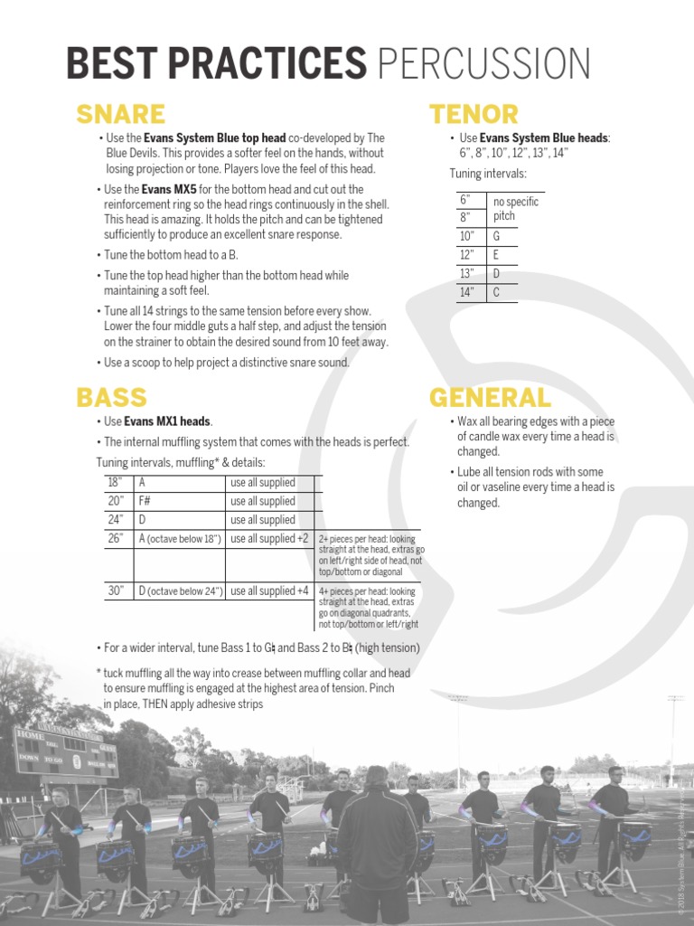 SB 2018BestPractices PERCUSSION V3 | PDF | Double Bass | Pitch (Music)