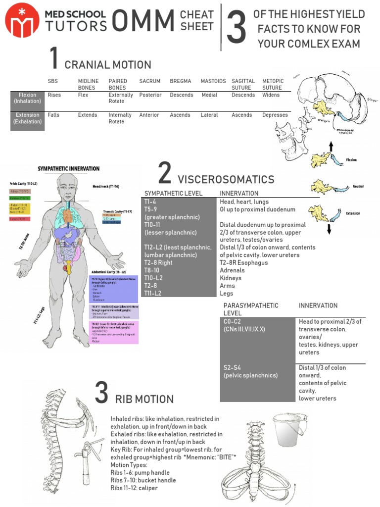 OMM OMT Cheat Sheet | PDF | Pelvis | Anatomical Terms Of Location