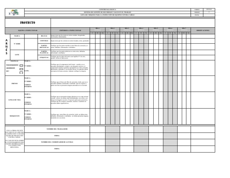SST-FO-19 Inspección EPCC | PDF