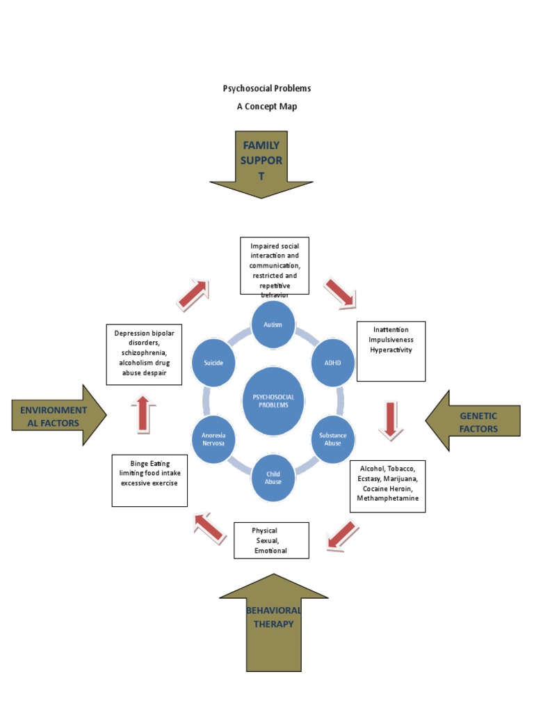 Biopsychosocial Model of Schizophrenia | PDF