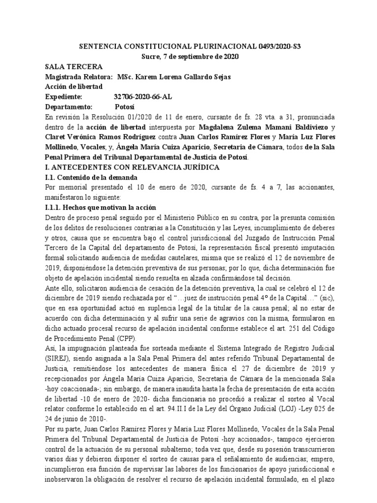 SCP 0493 2020 Apelación Incidental Prevista en El Art. 251 Del CPP ...
