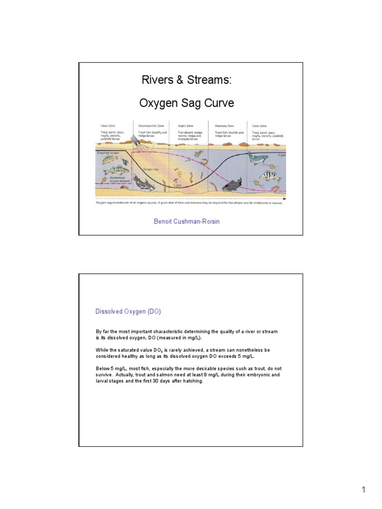 The Oxygen Sag Curve: Modeling Dissolved Oxygen Distribution in Rivers ...