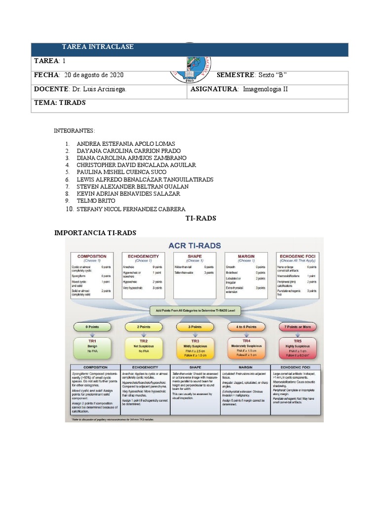 TIRADS | PDF