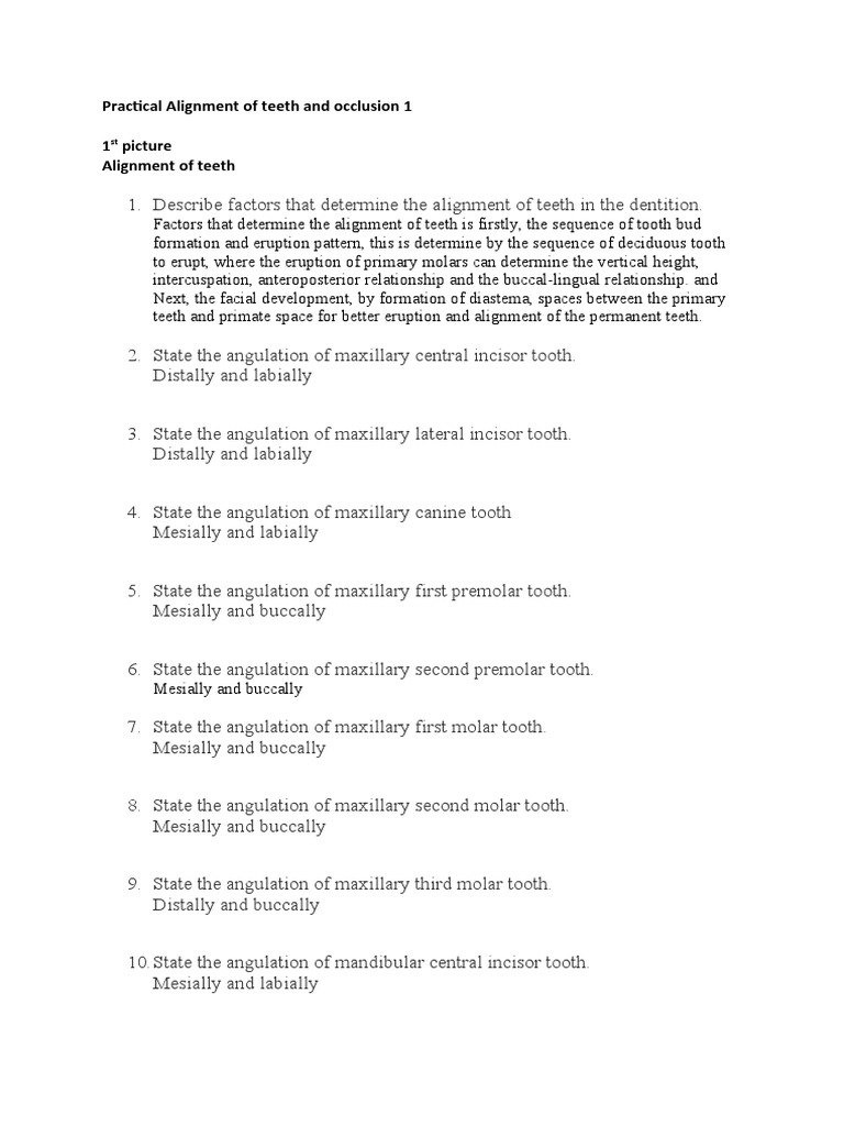 Practical Alignment of Teeth and Occlusion 1 | PDF | Dental Anatomy | Tooth