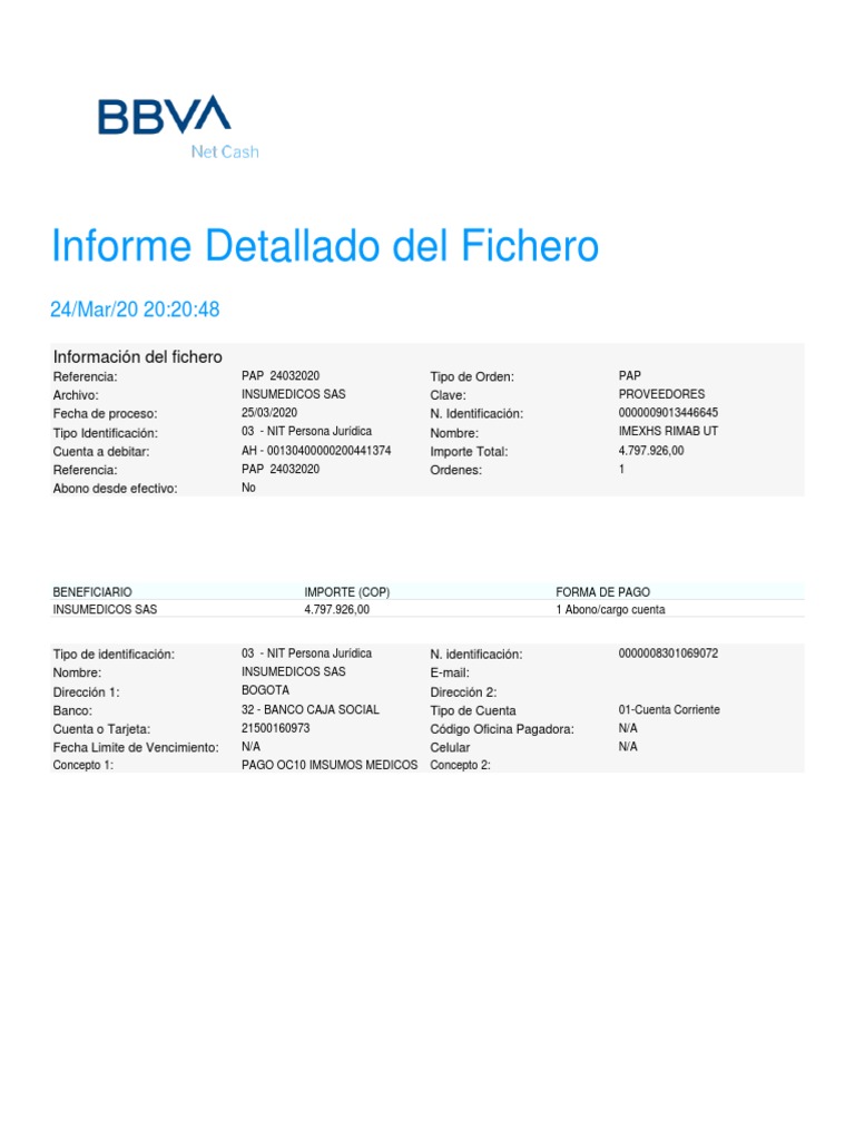 Informe Detallado | PDF