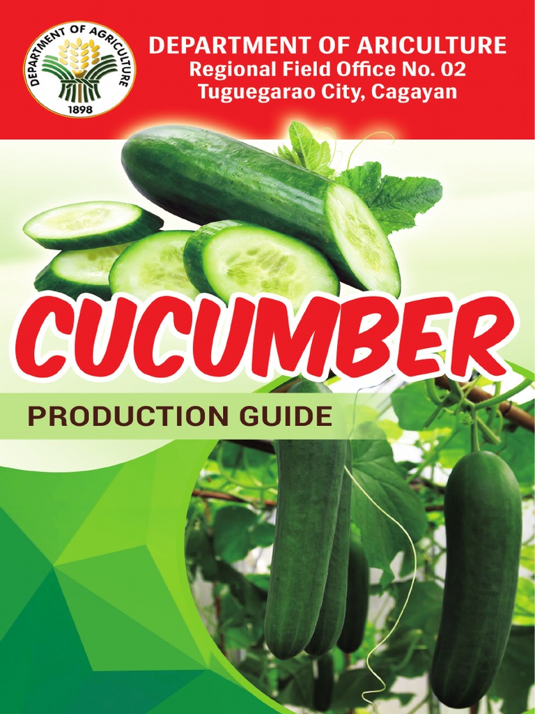 Cucumber Production Guide | PDF | Cucumber | Pest (Organism)