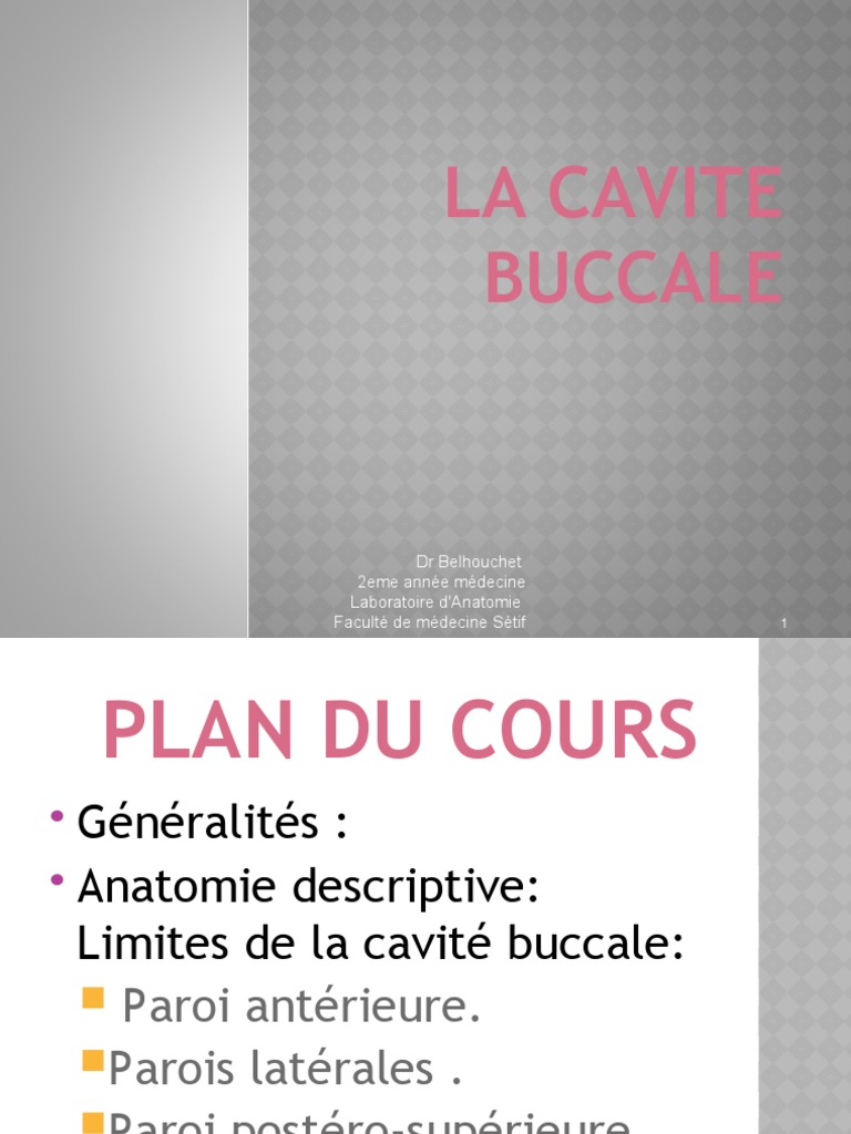 Anatomie de la Cavité Buccale | PDF | Langue | Bouche