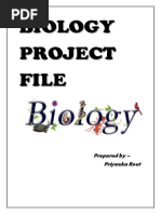 Pollination Class 12 Biology Project | PDF | Pollination | Pollinators