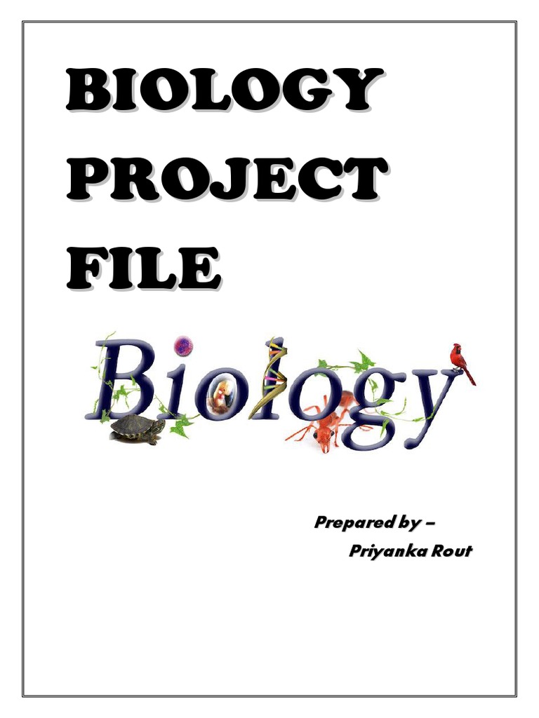 Biology Investigatory Project | PDF | Pollination | Pollinators