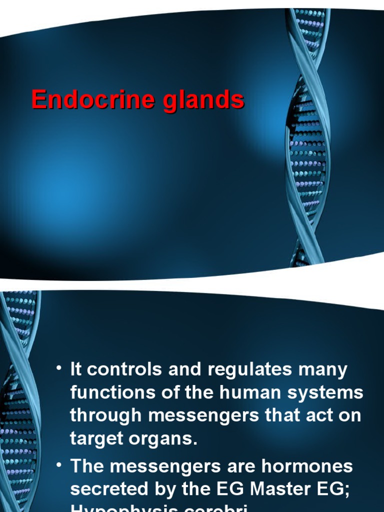 8.endocrine Glands | PDF | Adrenal Gland | Hormone