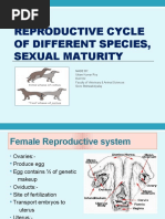 Sheep Female Reproductive Anatomy | PDF | Reproductive System | Uterus