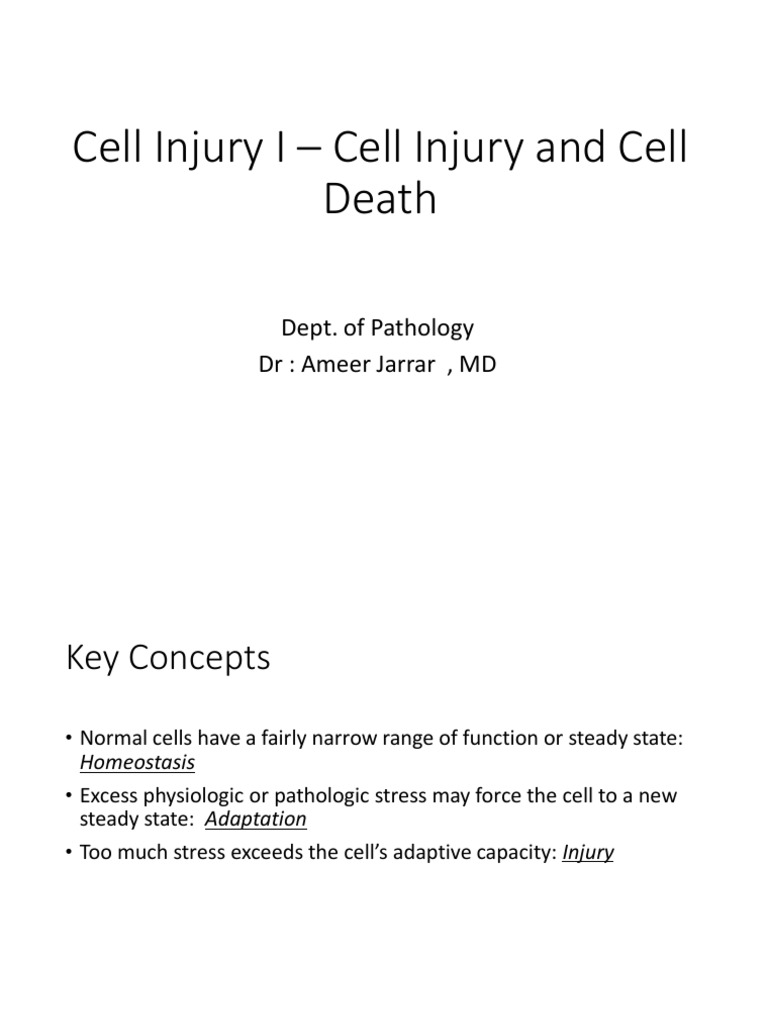 Pathology Cell Injury | PDF | Necrosis | Apoptosis
