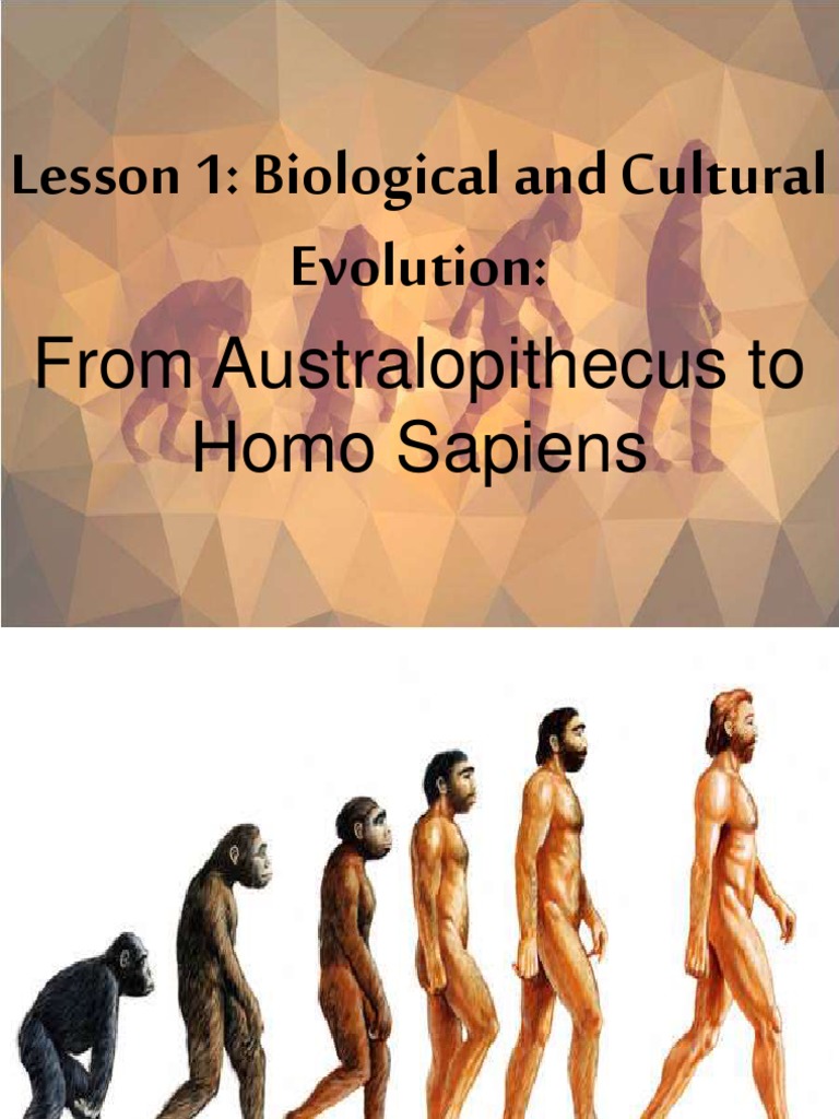 Lesson 1: Biological and Cultural Evolution:: From Australopithecus To ...