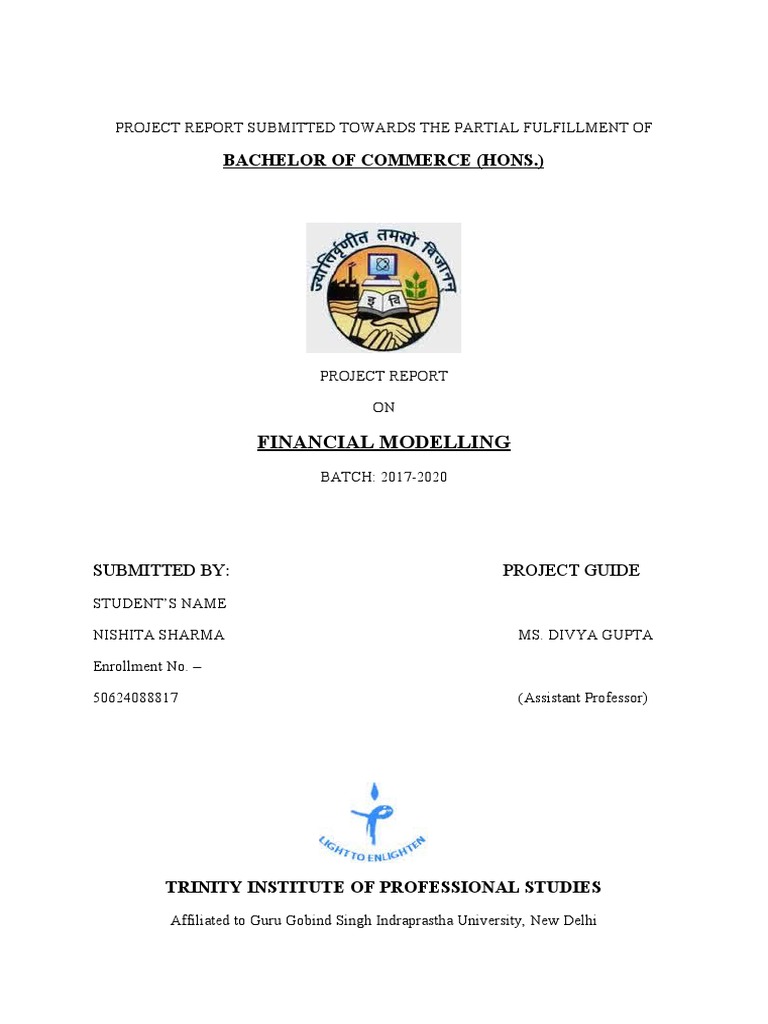 Guidelines For Financial Modeling File SEM 4 | PDF