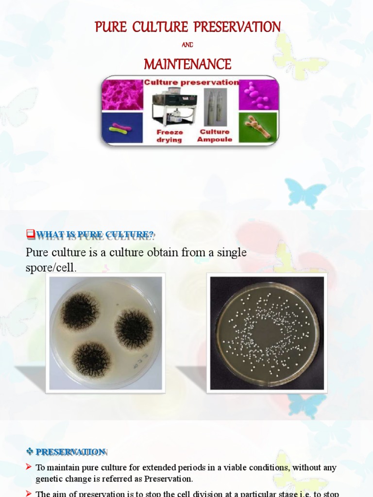 Pure Culture, Preservation and Maintance Practical. | PDF | Growth ...