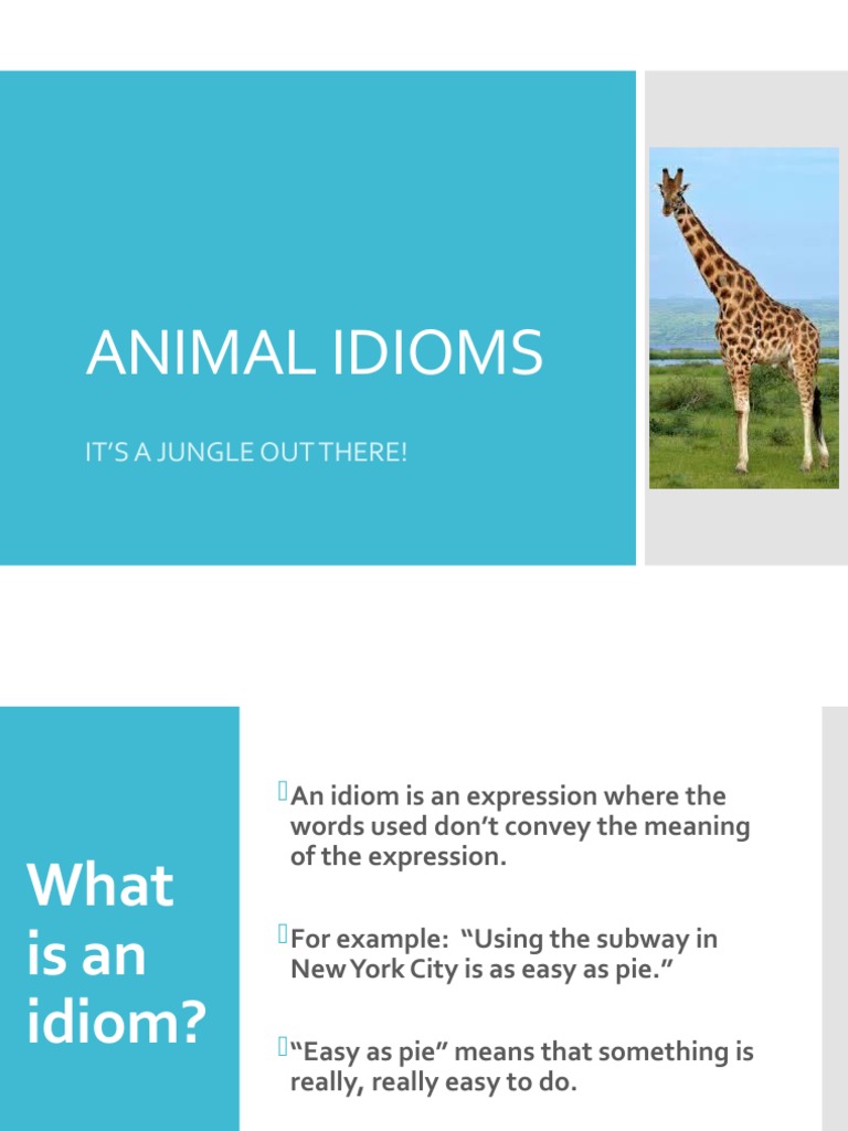 Animal Idioms: It'S A Jungle Out There! | PDF
