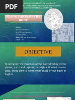 Topographic Anatomy Overview | PDF | Anatomical Terms Of Motion ...