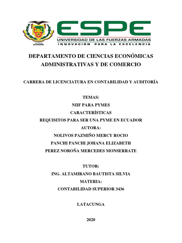 Niif para Pymes - Mapa Conceptual - Trabajo Grupal | PDF