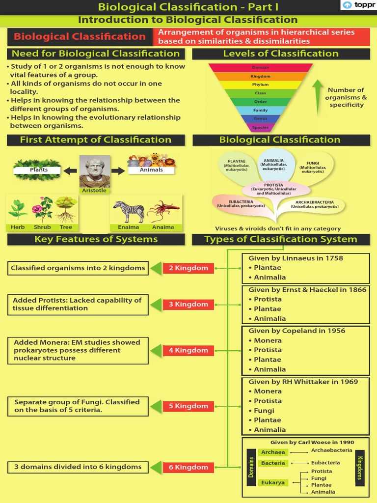 Biological Classification | PDF | Eukaryotes | Taxa