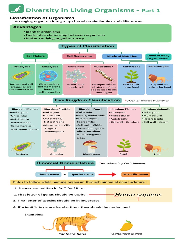 Diversity in Living Organisms Overview | PDF | Cell (Biology) | Plants