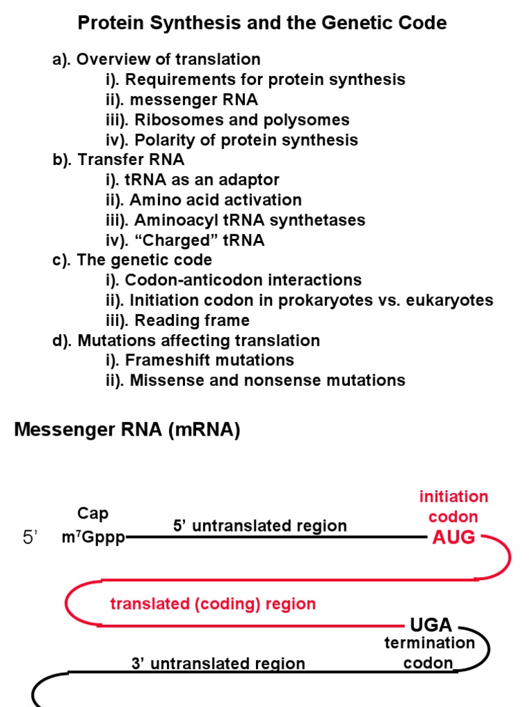 Requirements of Translation & Genetic Code | PDF | Translation (Biology ...