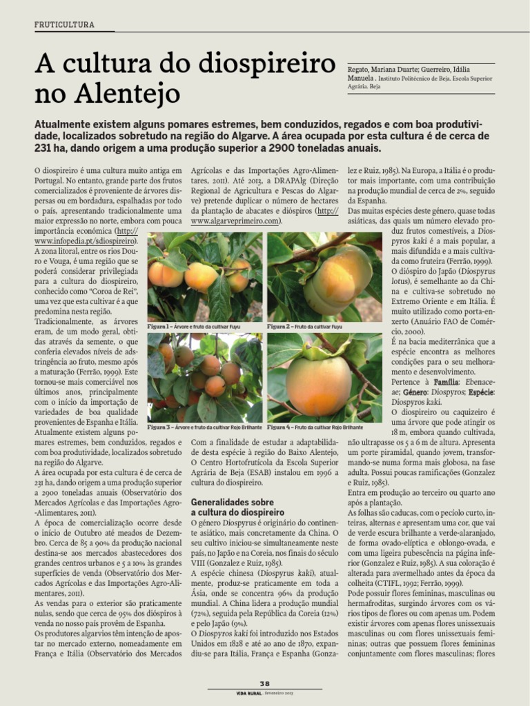 A cultura do diospireiro no Alentejo: Características, adaptação e ...