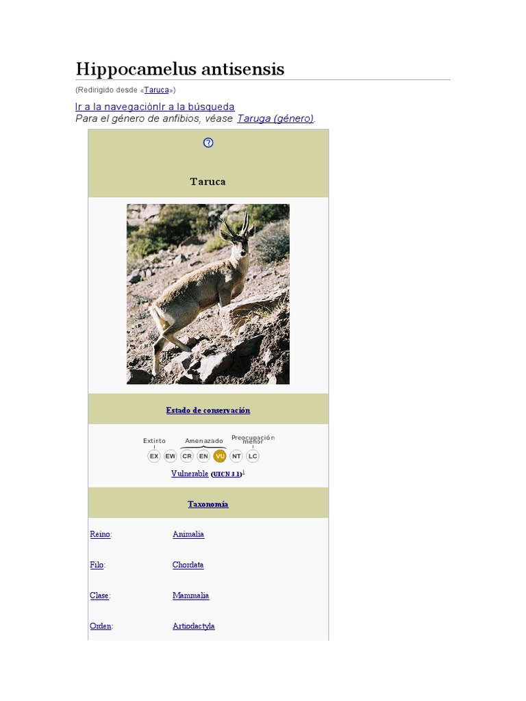 Taruca | PDF | Ciervo | Mamíferos