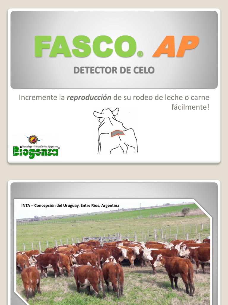 FASCO AP - Detector de Celo - Presentacion Biogensa PDF | PDF | Vacas ...