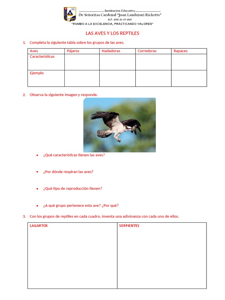 Tarea Las Aves y Los Reptiles - FABIANA LARA CONTRERAS | PDF