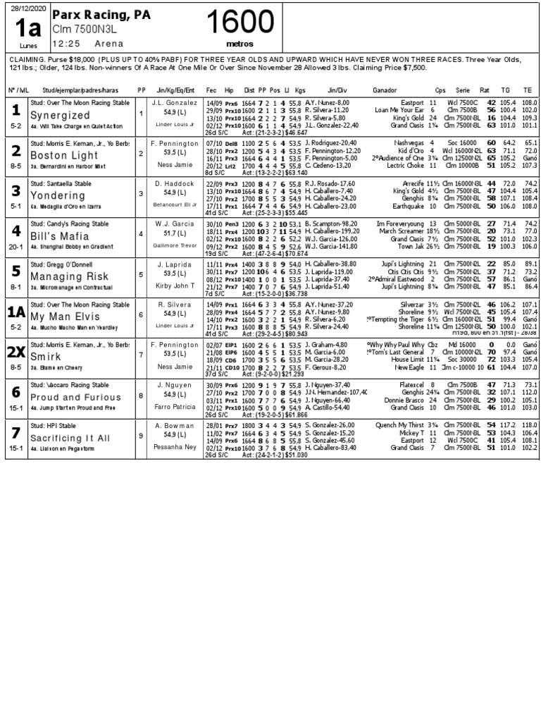 53 - RETROSPECTO Parx Racing PP | PDF | Thoroughbred Families ...