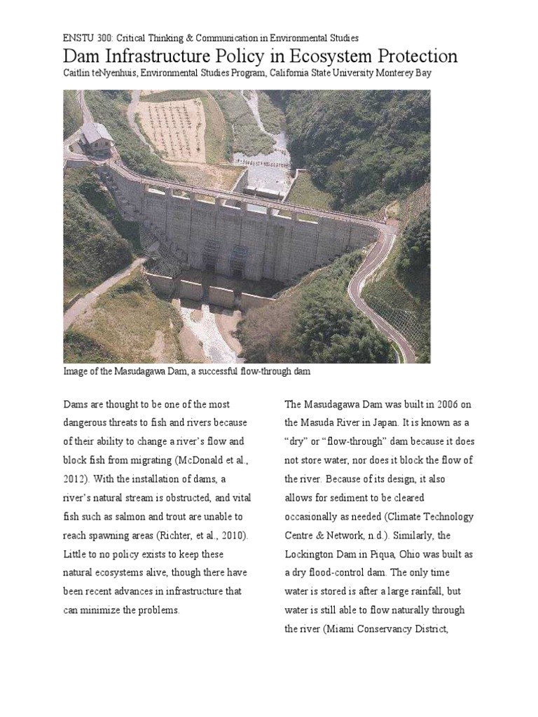 Fact Sheet 4 Dam Policy | PDF | Dam | River