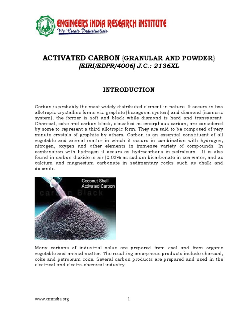 Carbon Purification Project Overview | PDF | Charcoal | Carbon