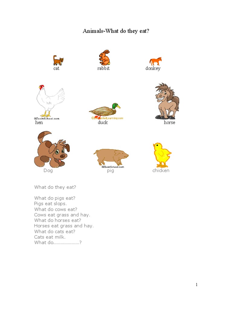 Animals and Their Diets Explained | PDF