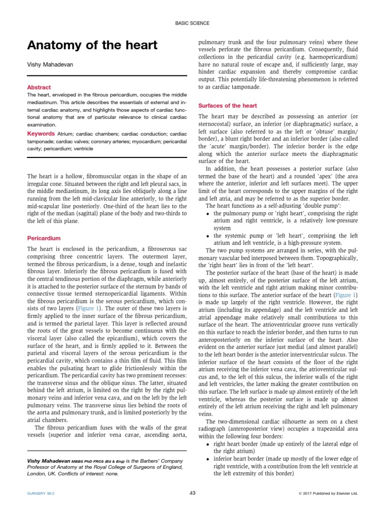 Anatomia Inimii | Download Free PDF | Heart Valve | Coronary Circulation