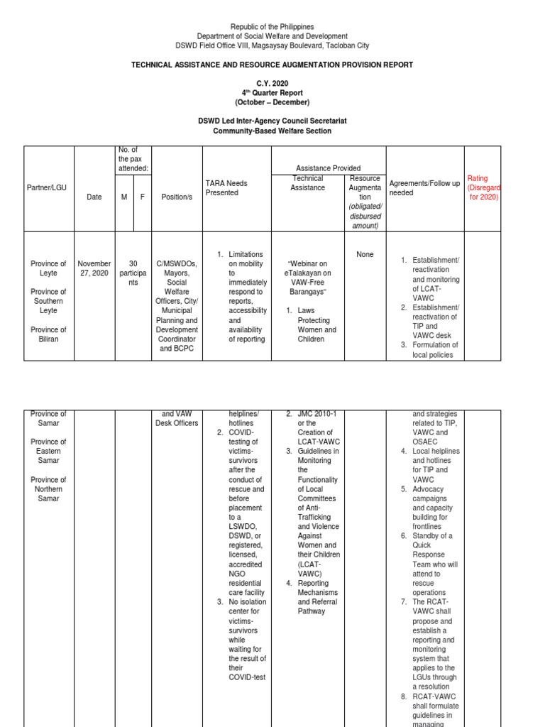 TARA Provision Report - DSWD Led Inter-Council Secretariat | PDF ...