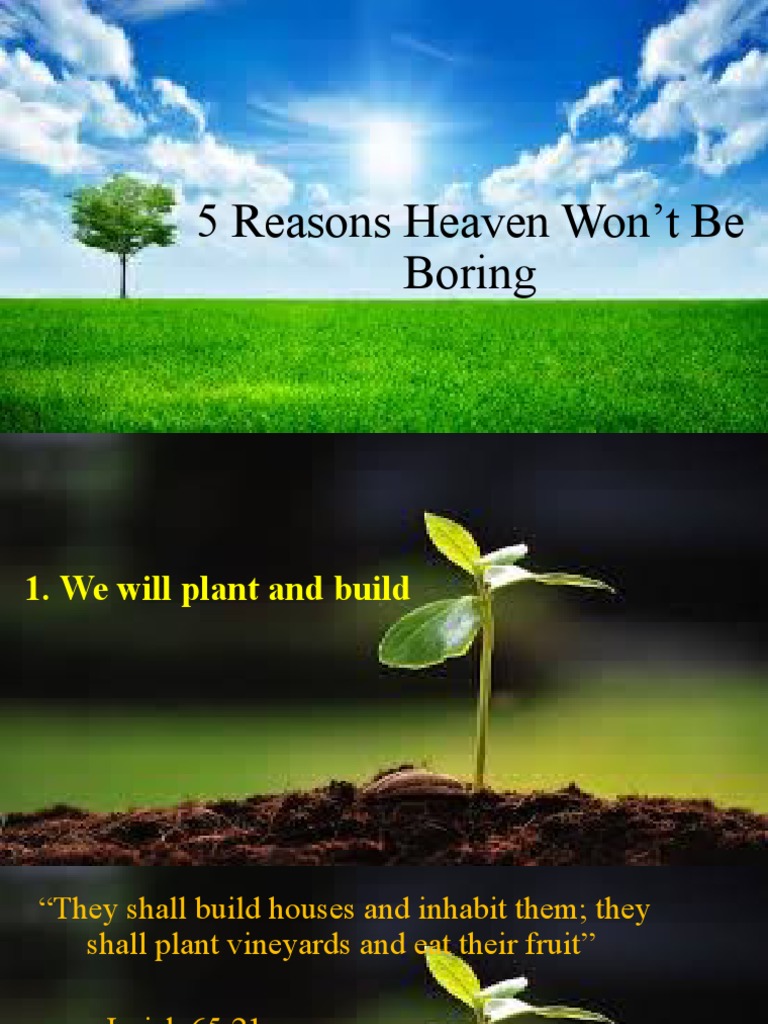 5 Reasons Heaven Won't Be Boring | PDF
