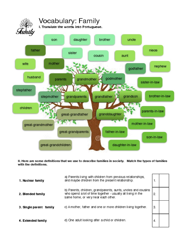 Vocabulary Exercises - Family | PDF | Grandparent | Stepfamily