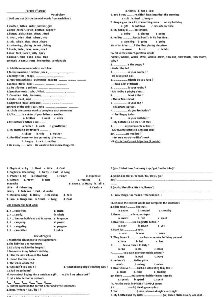 7th Grade English Vocabulary Test | PDF