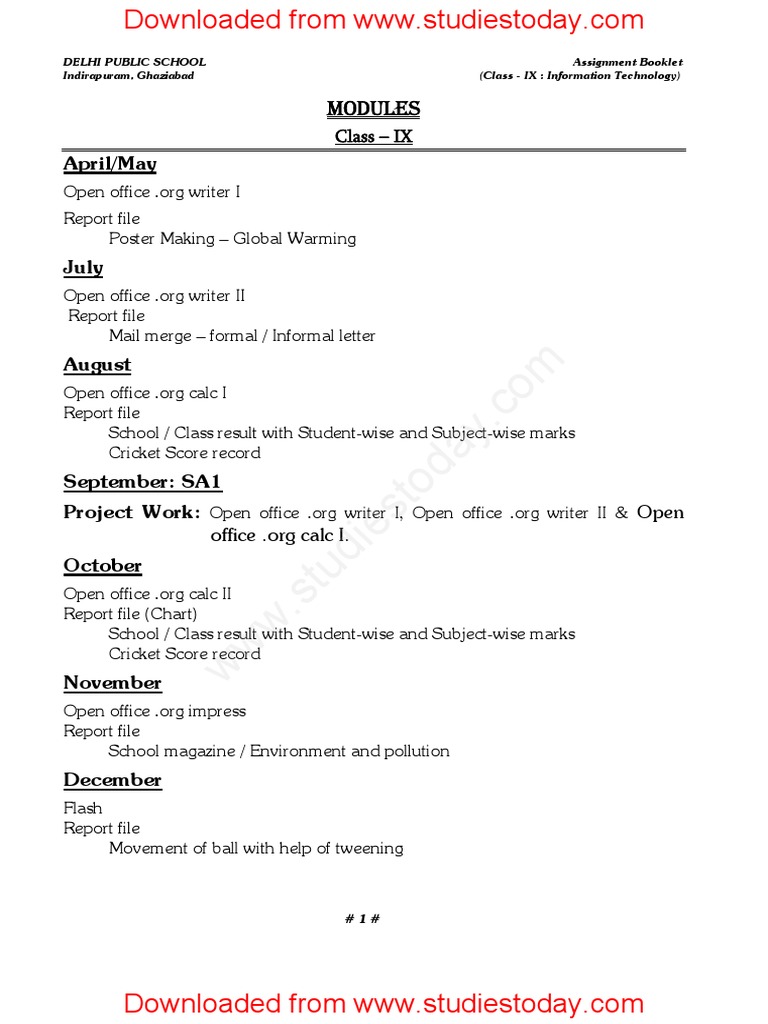 Class IX IT Assignment Guide | PDF | Adobe Photoshop | Adobe Flash