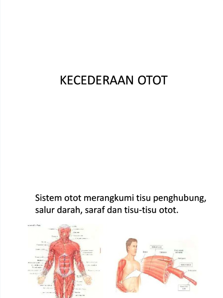oTOT CEDERA | PDF