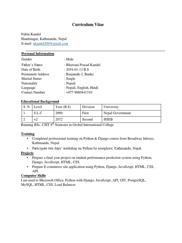Nabin Kandel's CV and Career Objective | PDF