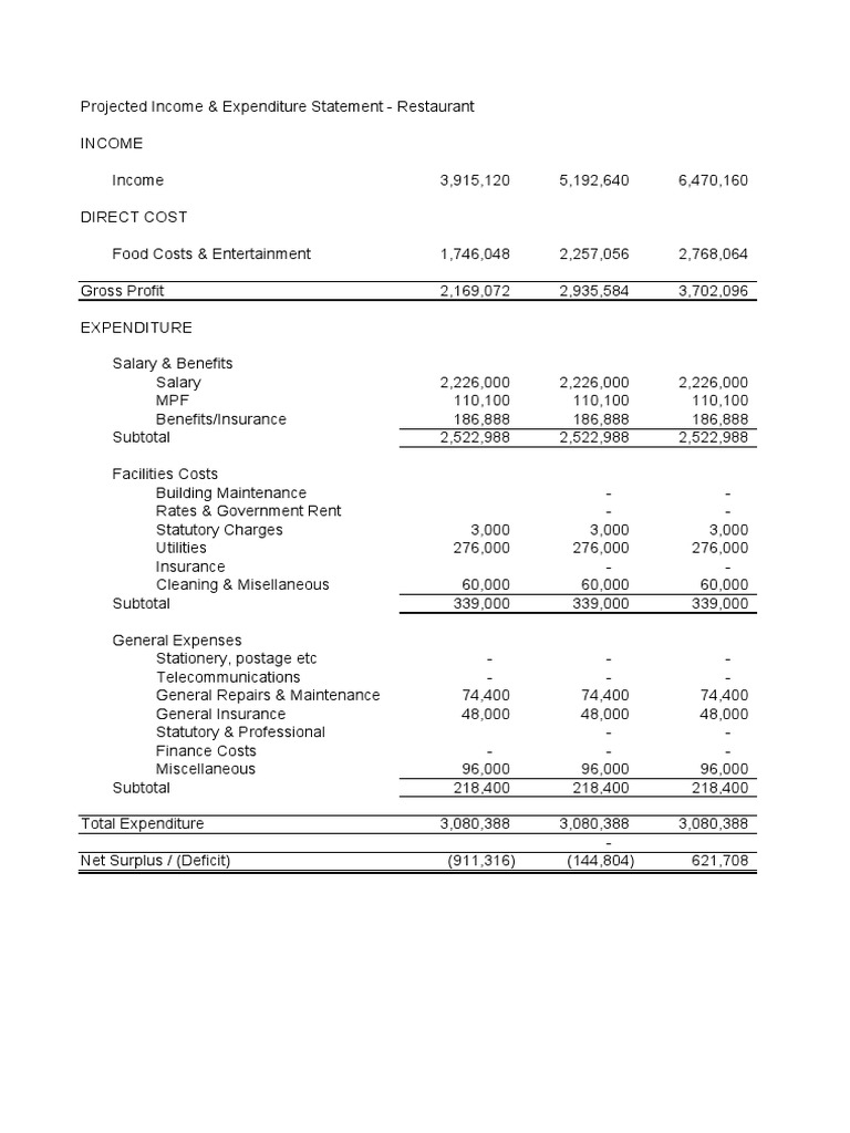 Projected Income and Expenditure Statement Template | PDF