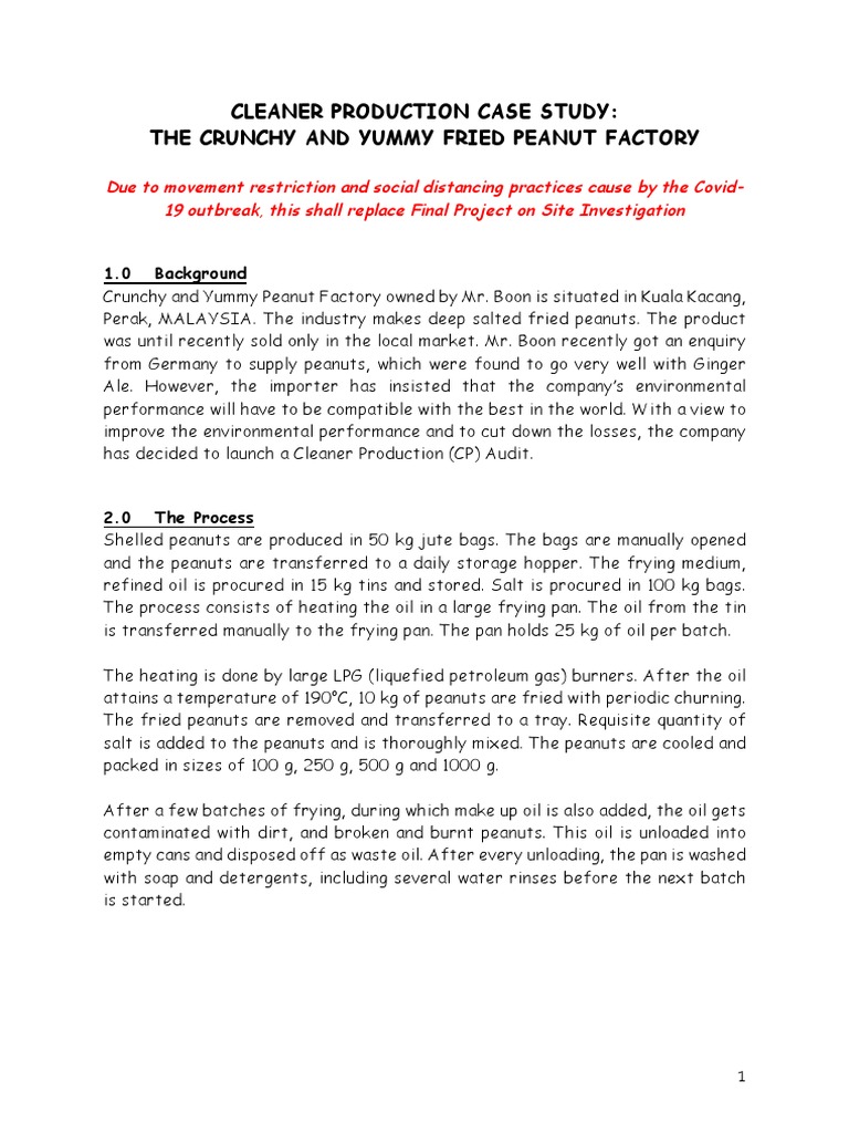 Cleaner Production Case Study | PDF | Peanuts | Audit