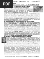 Protocolo Blue | PDF | Enfermedades y trastornos | Neumología