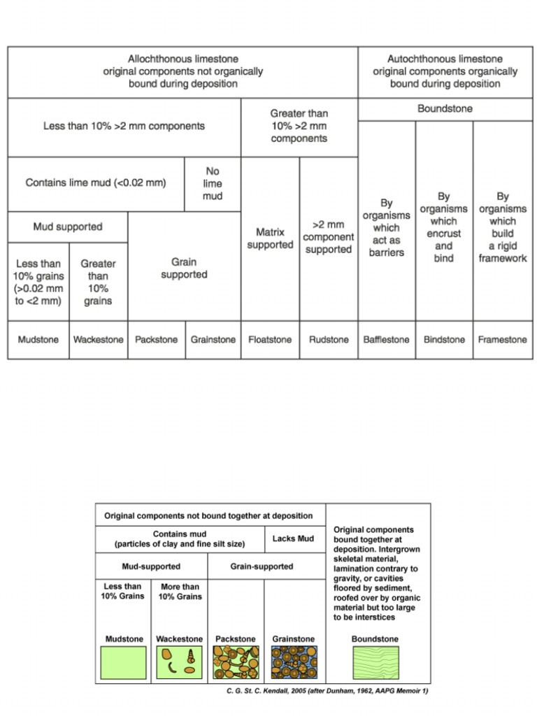 Autochthonous Limestone Classification | PDF | Limestone | Petrology