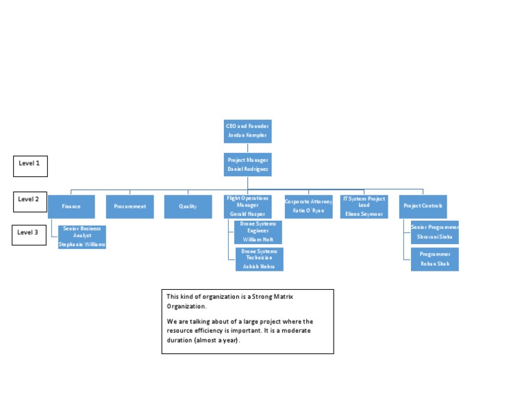 DroneTech Engineering Organization Chart | PDF