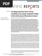 Comparative Table of NLS Models | PDF | Computing And Information ...
