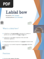 Canine Retractor Springs 4 | PDF | Orthodontics | Tooth