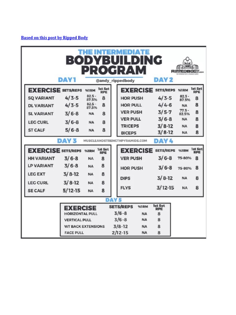 Ripped Body Intermediate Bodybuilding Routine | PDF | Weight Training ...