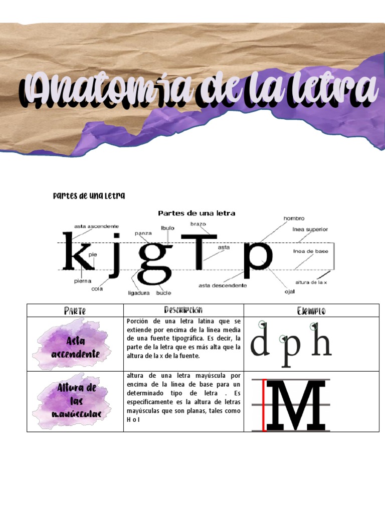 Anatomía de la letra: descripción de las partes fundamentales de una ...